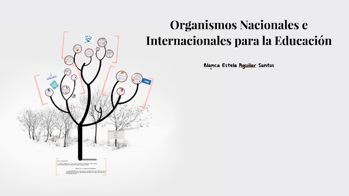 Organismos Nacionales e Internacionales para la Educación by Blanca ... Organismos Nacionales e Internacionales para la Educación by Blanca ...