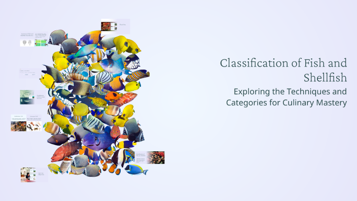 Classification of Fish and Shellfish by luna agatha on Prezi