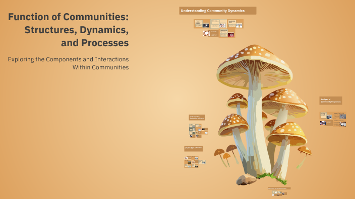 Function of Communities: Structures, Dynamics, and Processes by Angel ...