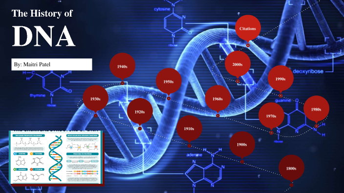 History of DNA by MP - 10BA 714816 Chinguacousy SS on Prezi