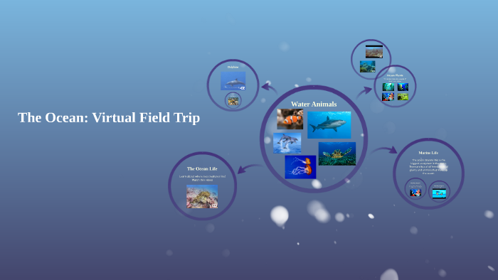 Aquarium Virtual Field Trip by Casey Galyon on Prezi