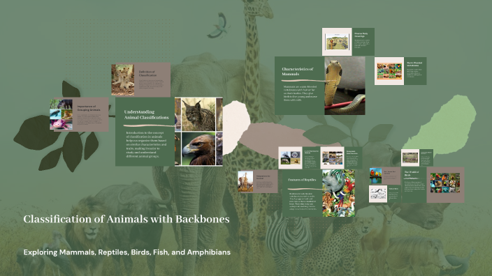 Classification of Animals with Backbones by עדי בתיה on Prezi
