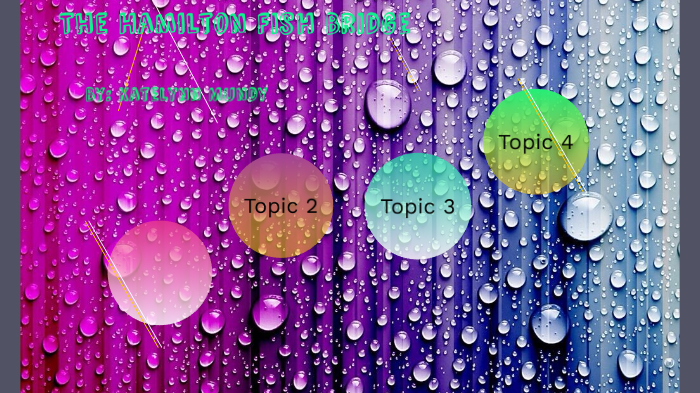 Hamilton Fish Bridge by REACH Monk on Prezi