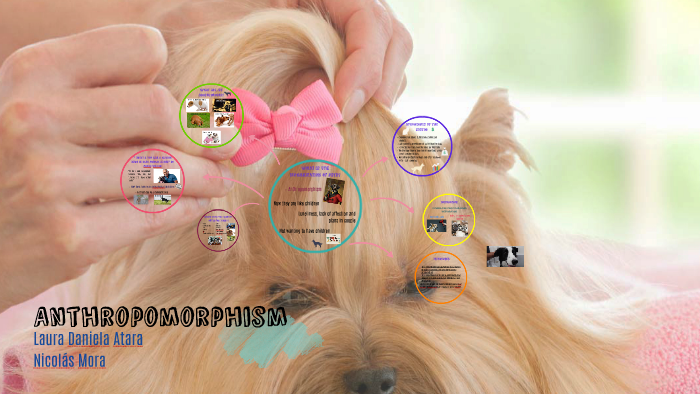 Humanization of dogs by on Prezi