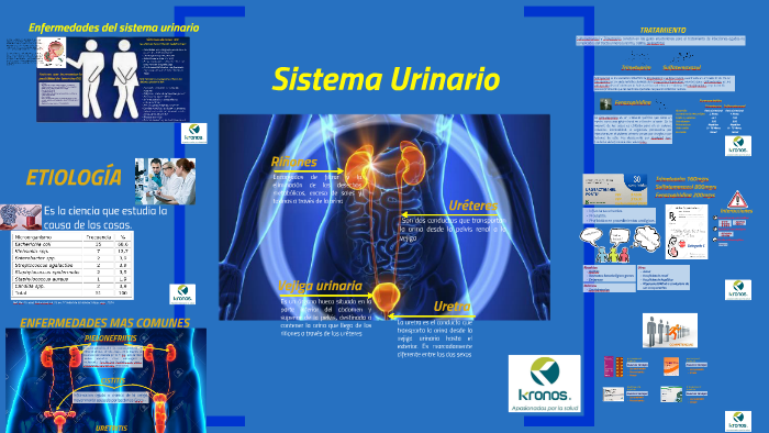 UROBACTRIANEL by Luis Chavarria on Prezi