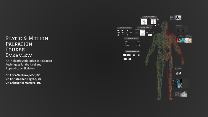 Static & Motion Palpation Course Overview by erica ventura on Prezi