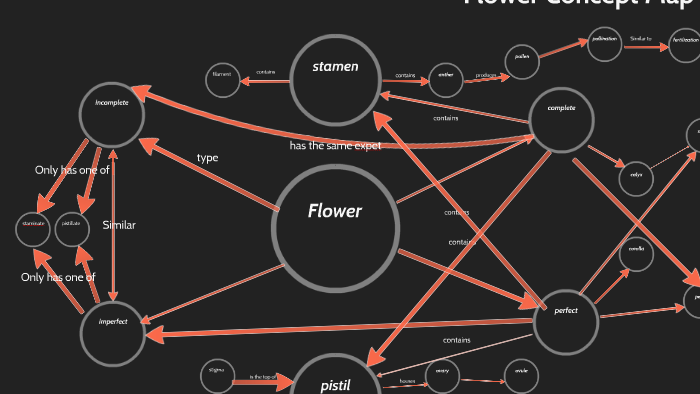 Flower concept map by Fabrizio Antoniello on Prezi