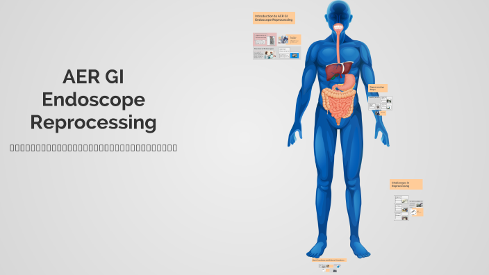 AER GI Endoscope Reprocessing by Wannisa Wannatem on Prezi