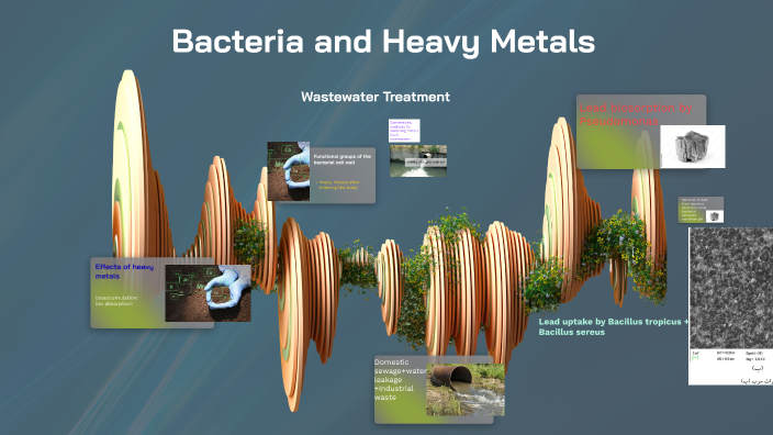 Bacterial Remediation of Heavy Metals by Ramtin Gholamalizadeh on Prezi