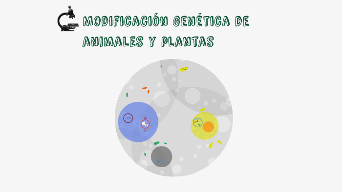 Modificacion genetica de animales y plantas by barbara troccoli on Prezi