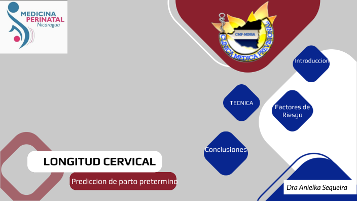 LONGITUD CERVICAL? by Any Sequeira on Prezi