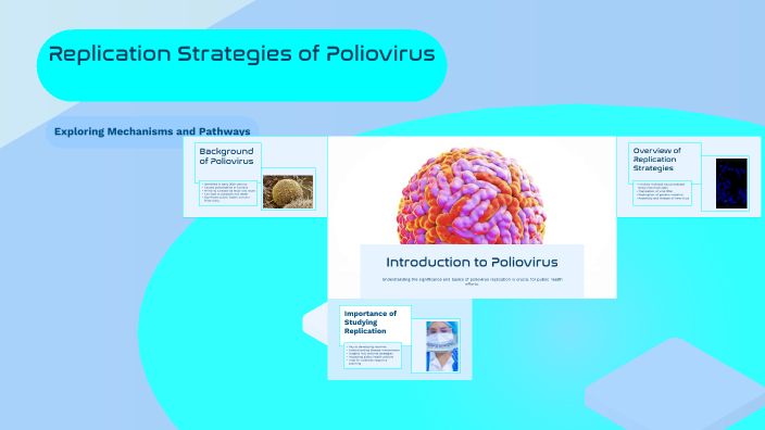Replication Strategies of Poliovirus by Abdullah on Prezi