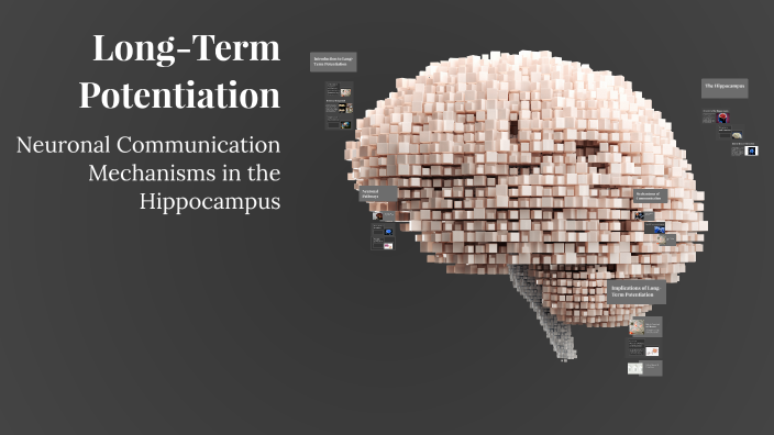 Long-Term Potentiation by Courtney Ebert on Prezi