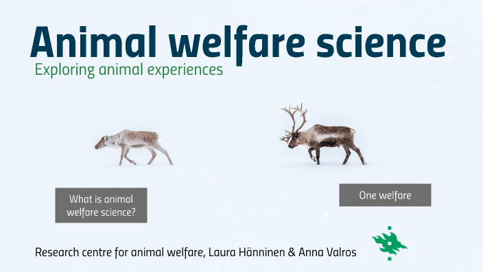 Animal welfare science by Laura Hänninen on Prezi