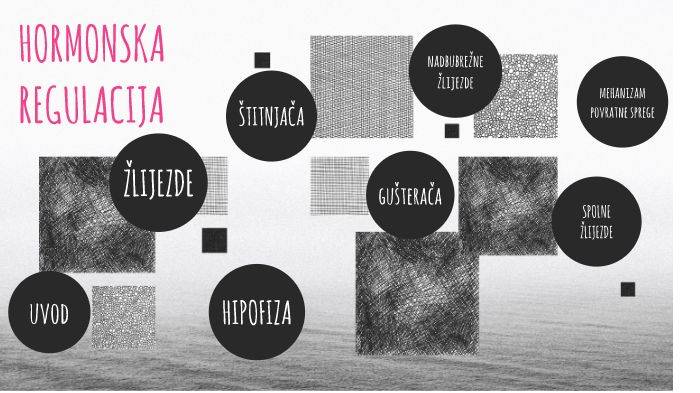 Hormonska regulacija by Martina Miloš on Prezi