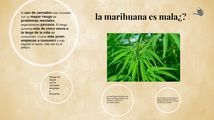 la marihuana es mala¿? by Jose Emmanuel Camargo Gudi o on Prezi