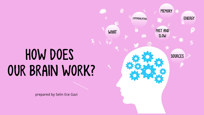 How does our brain work? by strawberry cream on Prezi