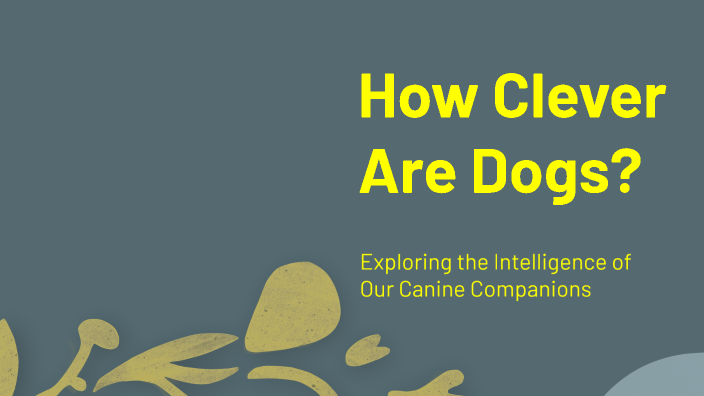 How Clever Are Dogs? by Sofía Cusack on Prezi