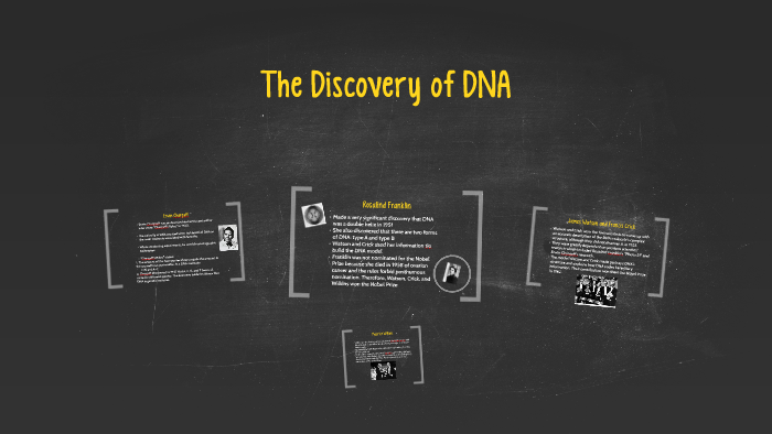 The Discovery of DNA by Evie S. on Prezi