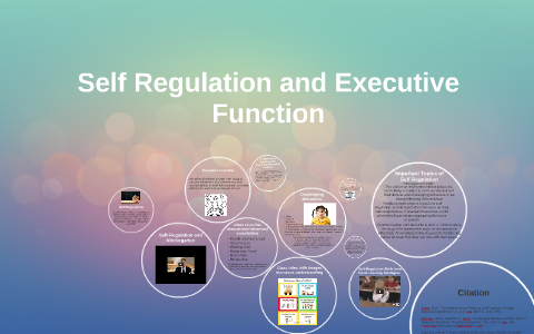 Self Regulation and Executive Function by on Prezi
