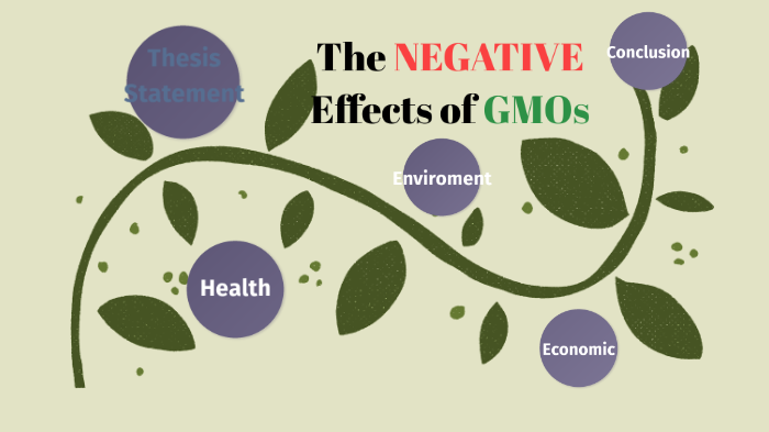 The Negative Effects of GMOs by Destinie Suarez on Prezi