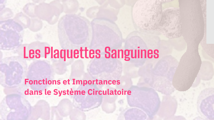 Les Plaquettes Sanguines by maram tlili on Prezi