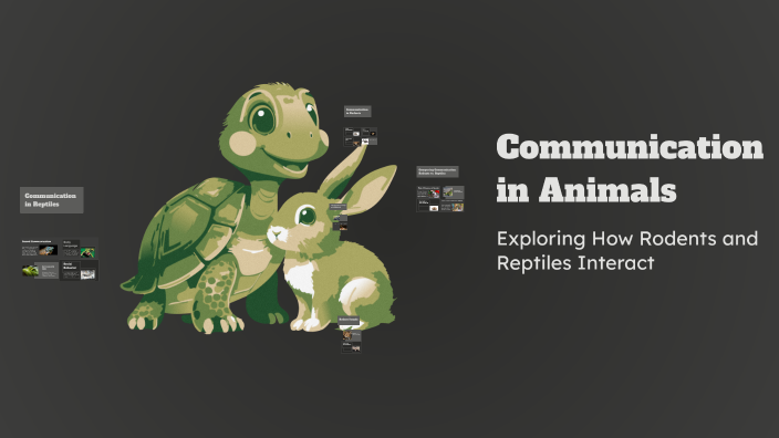 Communication in Animals: Rodents and Reptiles by Sofia Cevada Ayala on ...