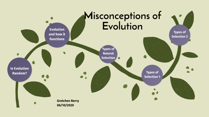 Evolution Misconception by Gretchen Berry on Prezi