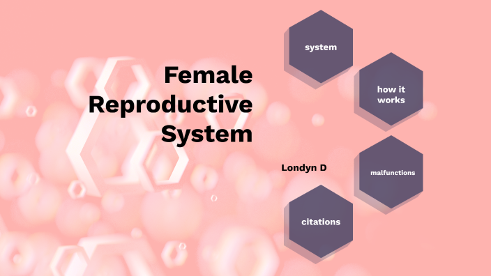 female reproductive system by londyn dameron on Prezi