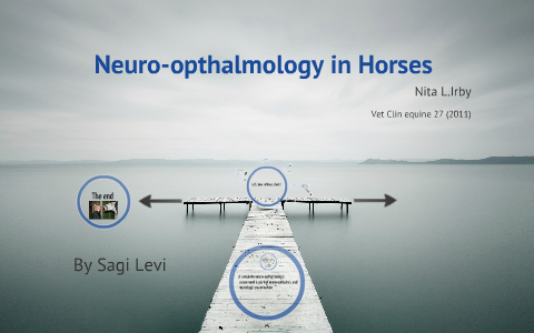 Neuro opthalmology in Horses by sagi levi on Prezi