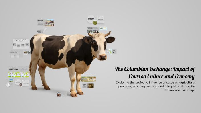 The Columbian Exchange: Impact of Cows on Culture and Economy by ...