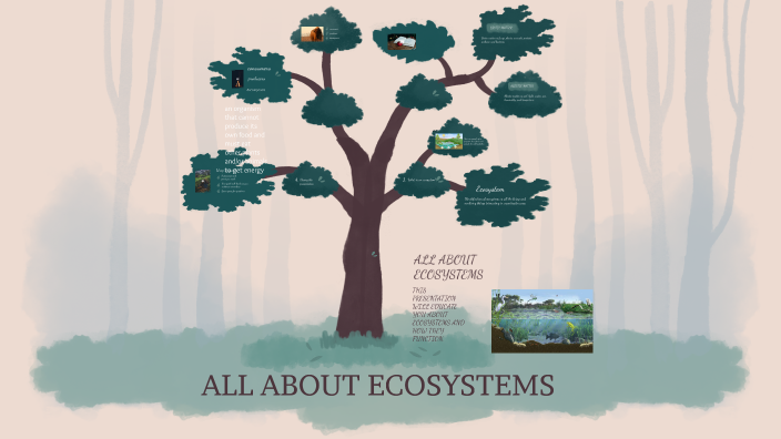 ecosystems by Owen Munson on Prezi