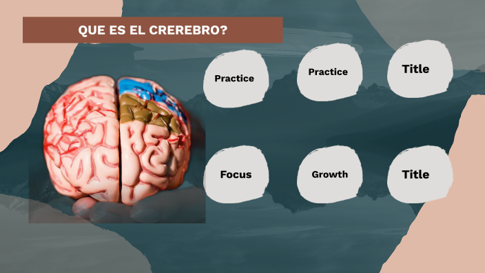 Cerebro By Luis Perez On Prezi