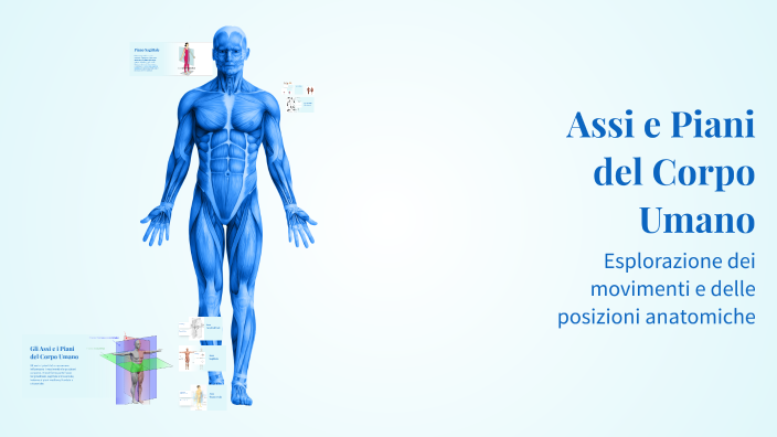Assi e Piani del Corpo Umano by milena damato on Prezi