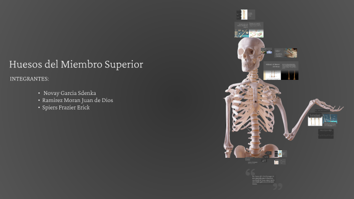 Huesos del Miembro Superior by Erick Spiers Frazier on Prezi
