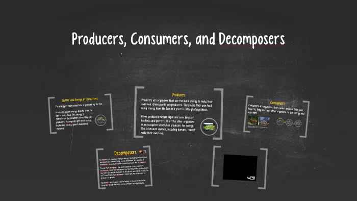 Producers, Consumers, and Decomposers by Jennifer Jackson on Prezi