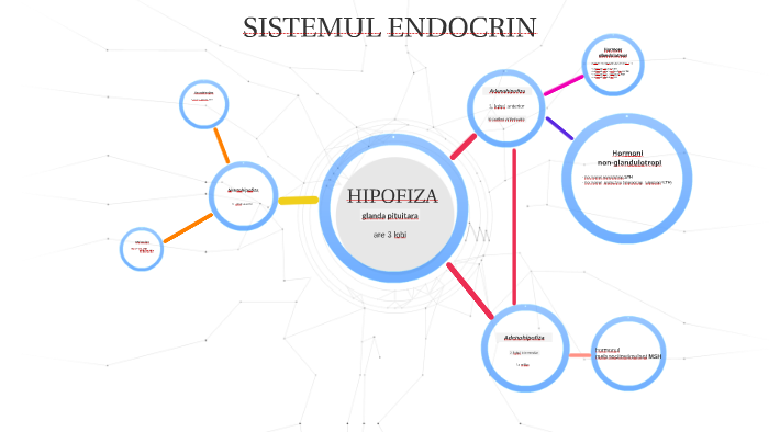 HIPOFIZA by Anda Uncu on Prezi