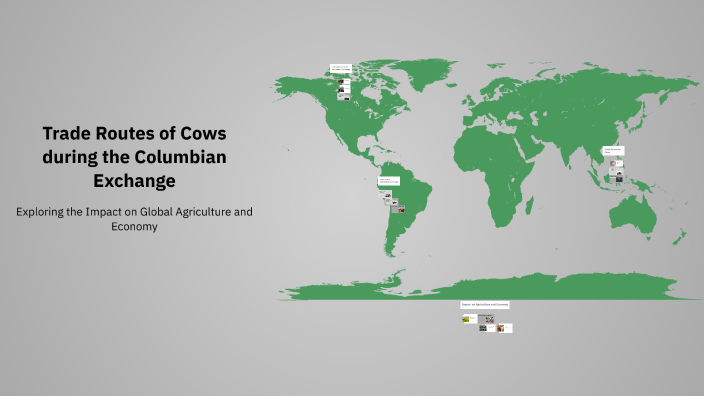 Trade Routes of Cows during the Columbian Exchange by Paras De Guzman ...