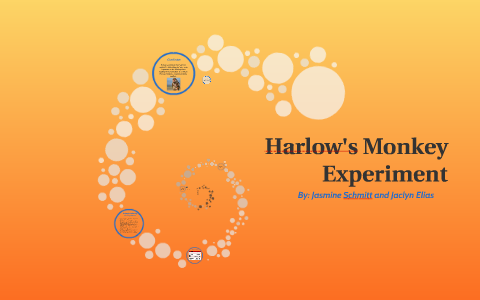Harlow's Monkey Experiment by Jasmine Schmitt on Prezi