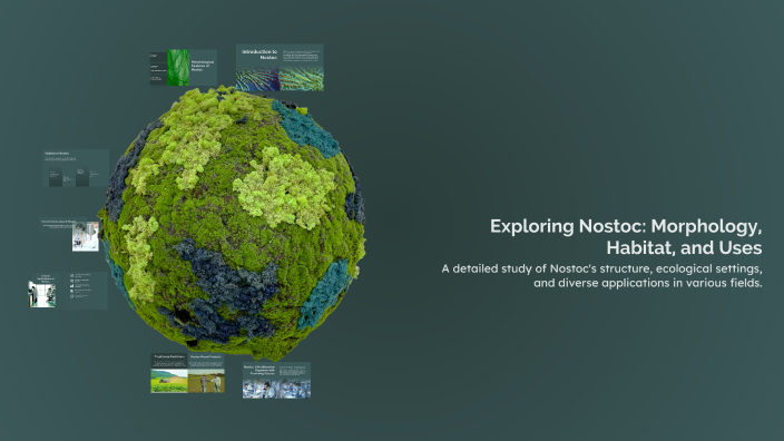 Exploring Nostoc: Morphology, Habitat, and Uses by Ana Sofía S. on Prezi