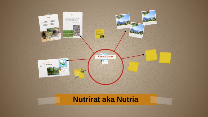 Nutrirat aka Nutria by Alex Mellis on Prezi