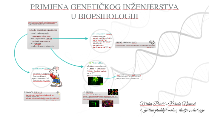 Primjena genetičkog inženjerstva u biopsihologiji by Matea Pavičić on Prezi