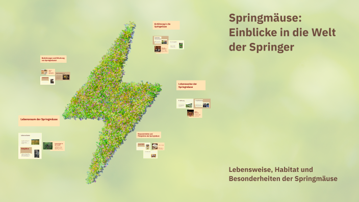 Springmäuse: Einblicke in die Welt der Springer by bes bes on Prezi