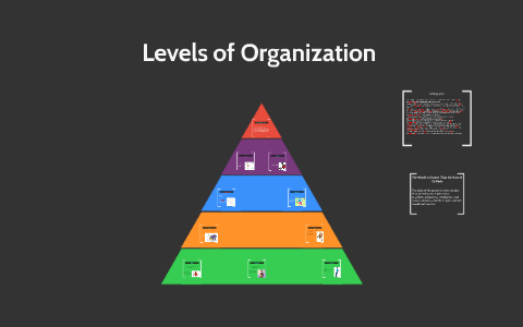 Levels of Organization by Noah Cass on Prezi