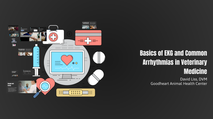 Basics of EKG and Common Arrhythmias in Veterinary Medicine by David L ...