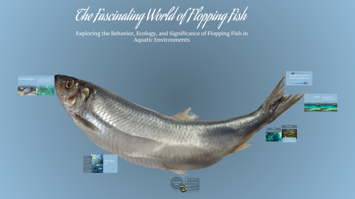 The Fascinating World of Flopping Fish by BEN CONSTABLE on Prezi