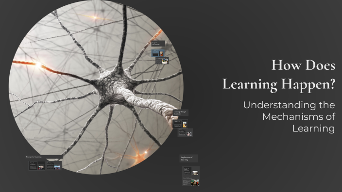 How Does Learning Happen? by Maha Sousak on Prezi