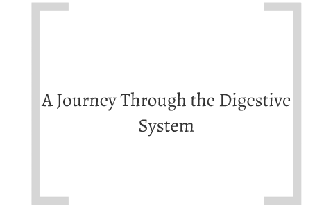 A Journey Through the Digestive System by Megan Salinas on Prezi