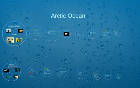 Arctic Ocean Ecosystem by Larissa Ewing on Prezi