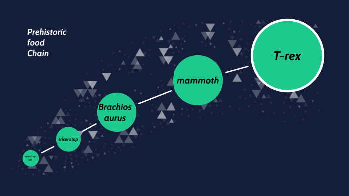 prehistoric food chain by tes lacey on Prezi